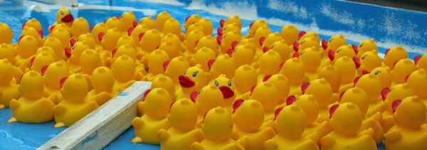 Congratulations to the 2017 Duck Races prize winners! - Neighbors Inc.