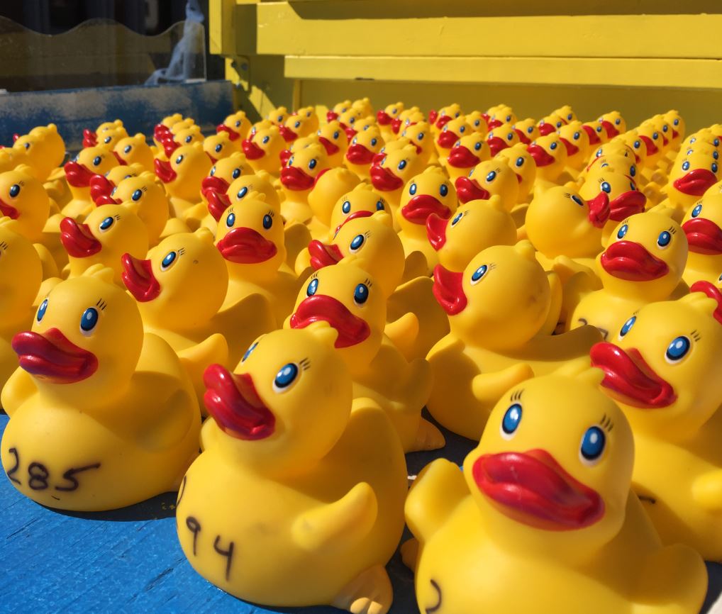12th Annual Great Neighbors' Duck Races on October 5th - Neighbors Inc.